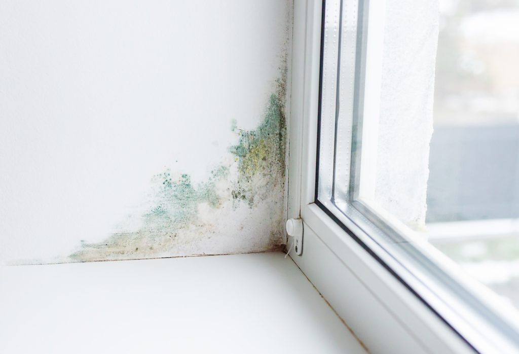 The Role of Grading in Preventing Water Damage Around Your Home ...